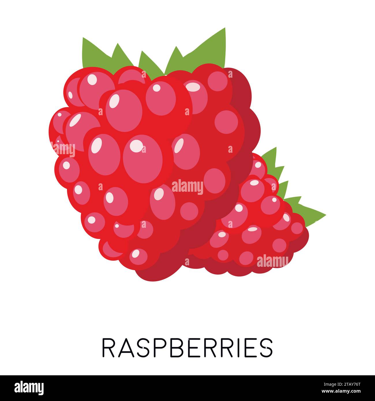 Raspberry berry flat icon isolated on white background. Sweet fruit ...