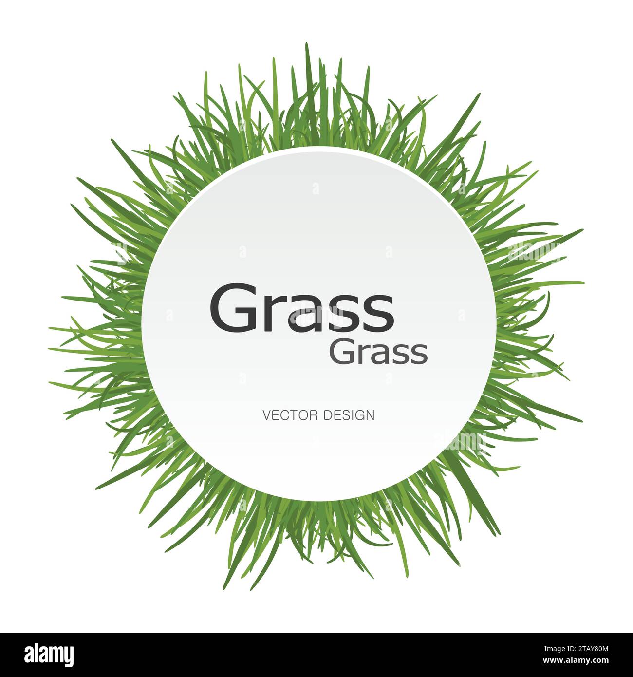 Summer frame green grass Stock Vector Images - Alamy