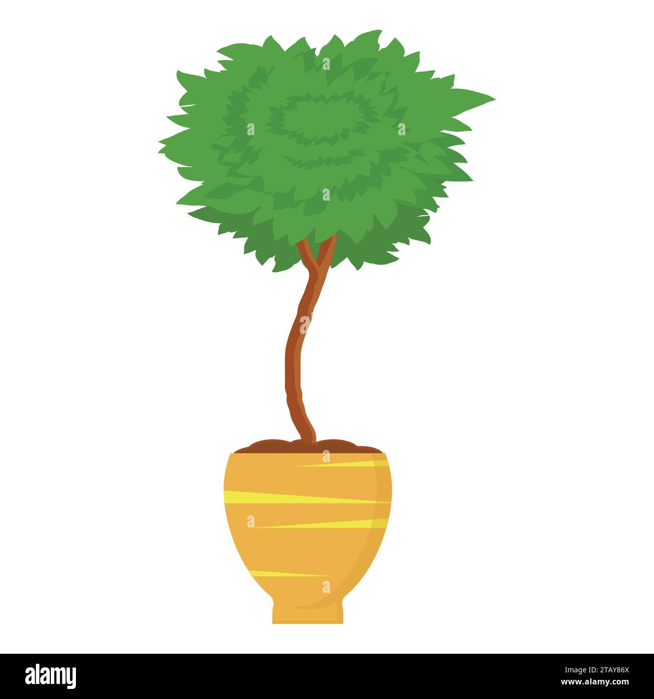 Boxwood vector vectors Cut Out Stock Images & Pictures - Alamy