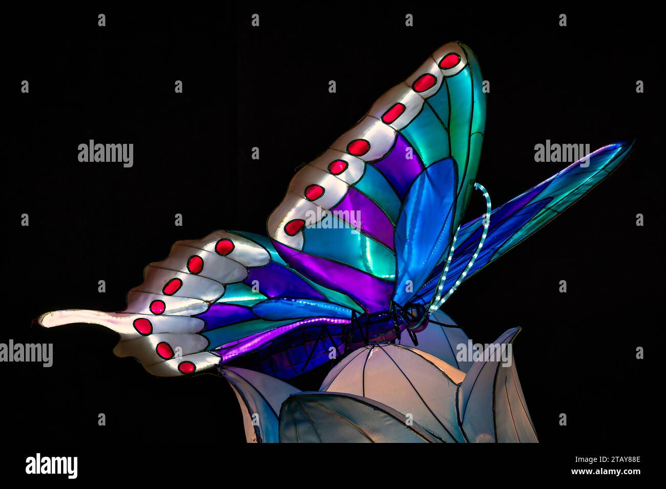 An illuminated butterfly lantern perched atop a lush green plant ...