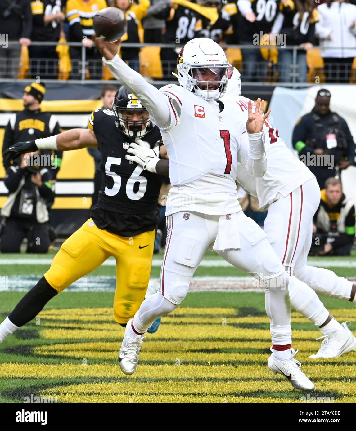 Kyler murray cardinals hi-res stock photography and images - Alamy