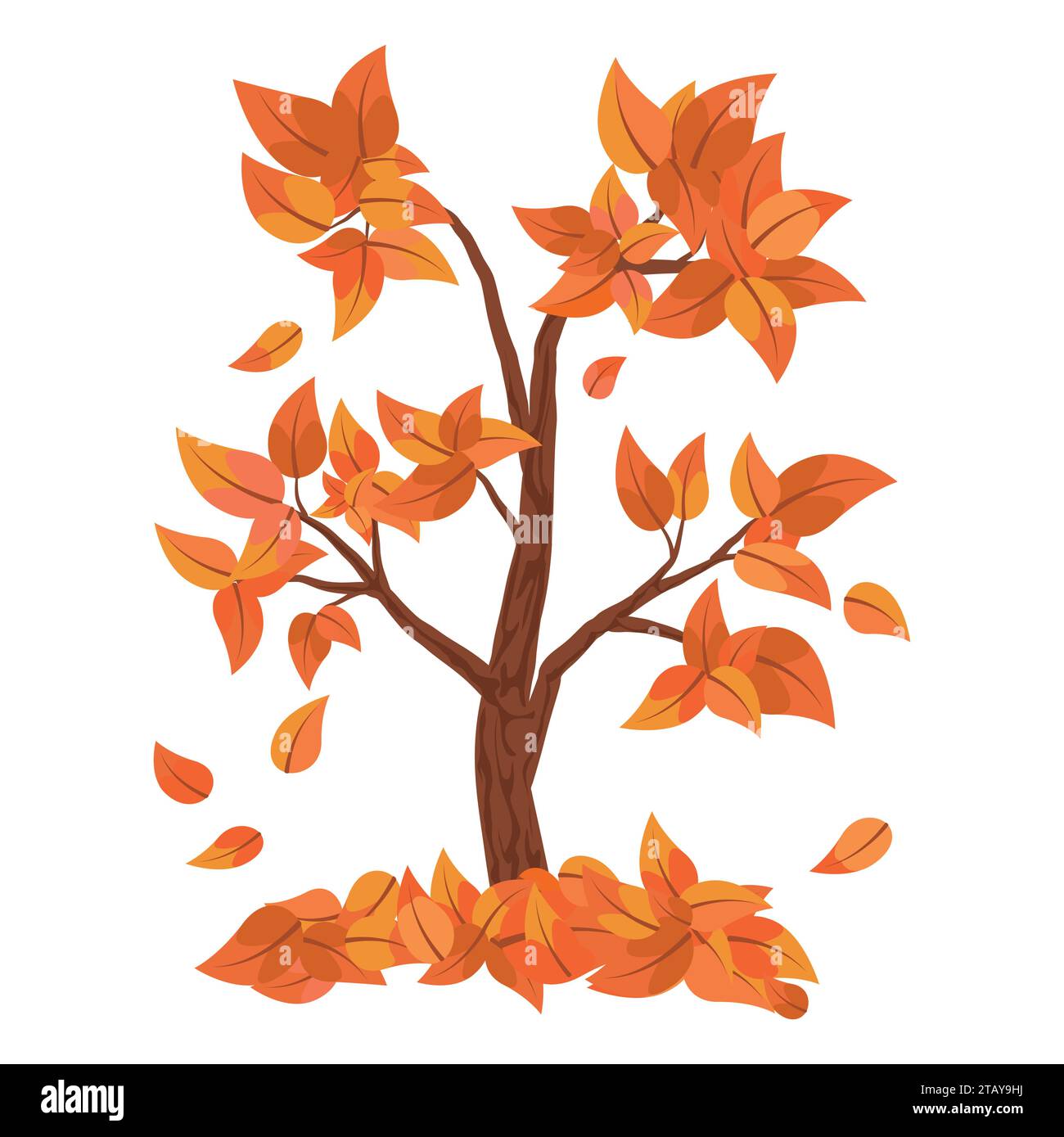 Fall Tree White Background