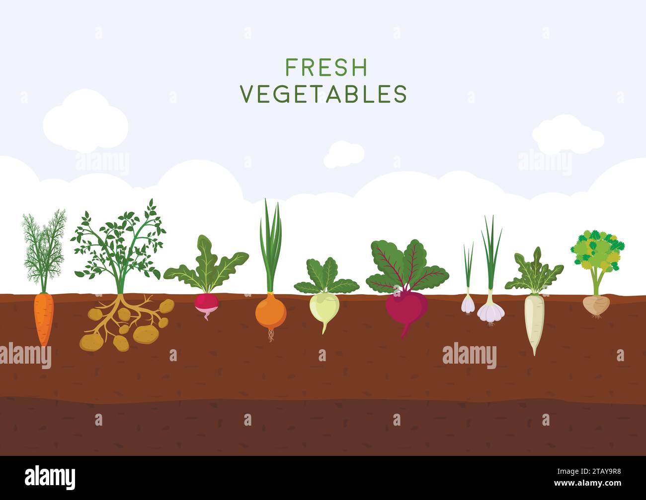 Fresh organic vegetable garden on blue sky background. Garden with ...