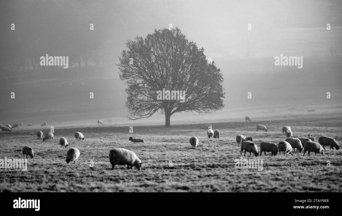 Snowshill valley hi-res stock photography and images - Alamy