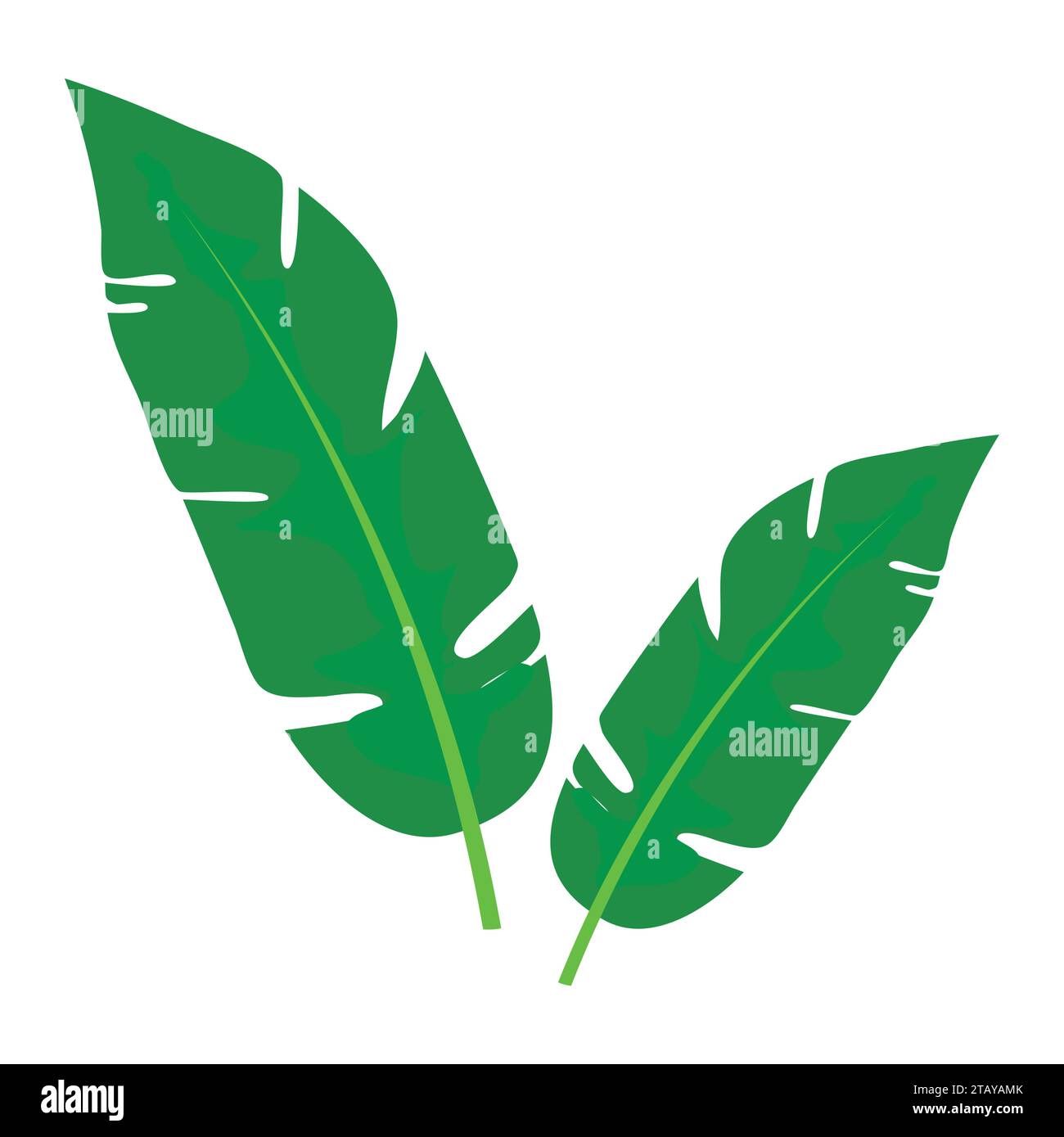 Animated Banana Leaf