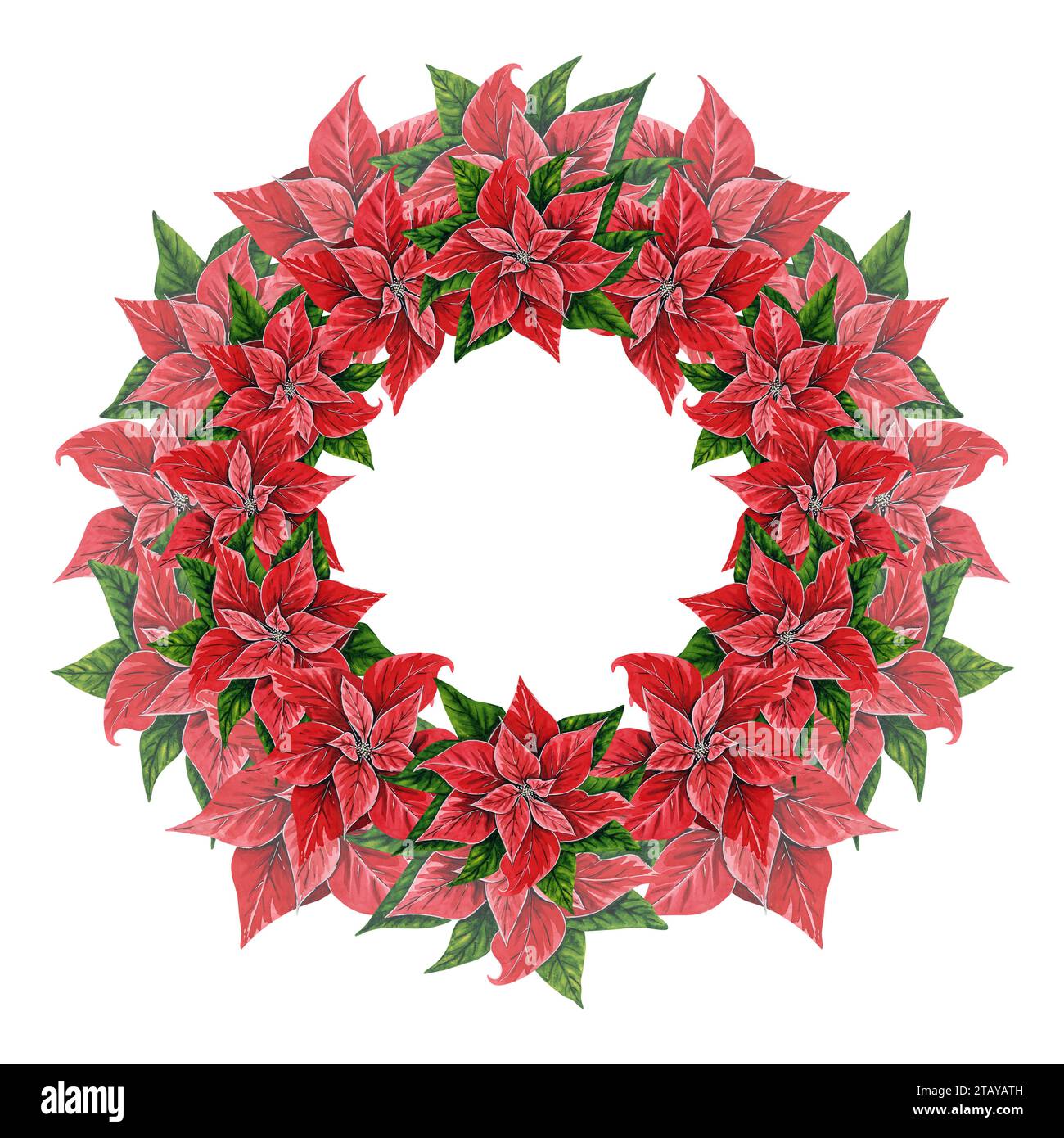 Christmas wreath with poinsettia flowers,hand drawn watercolor ...