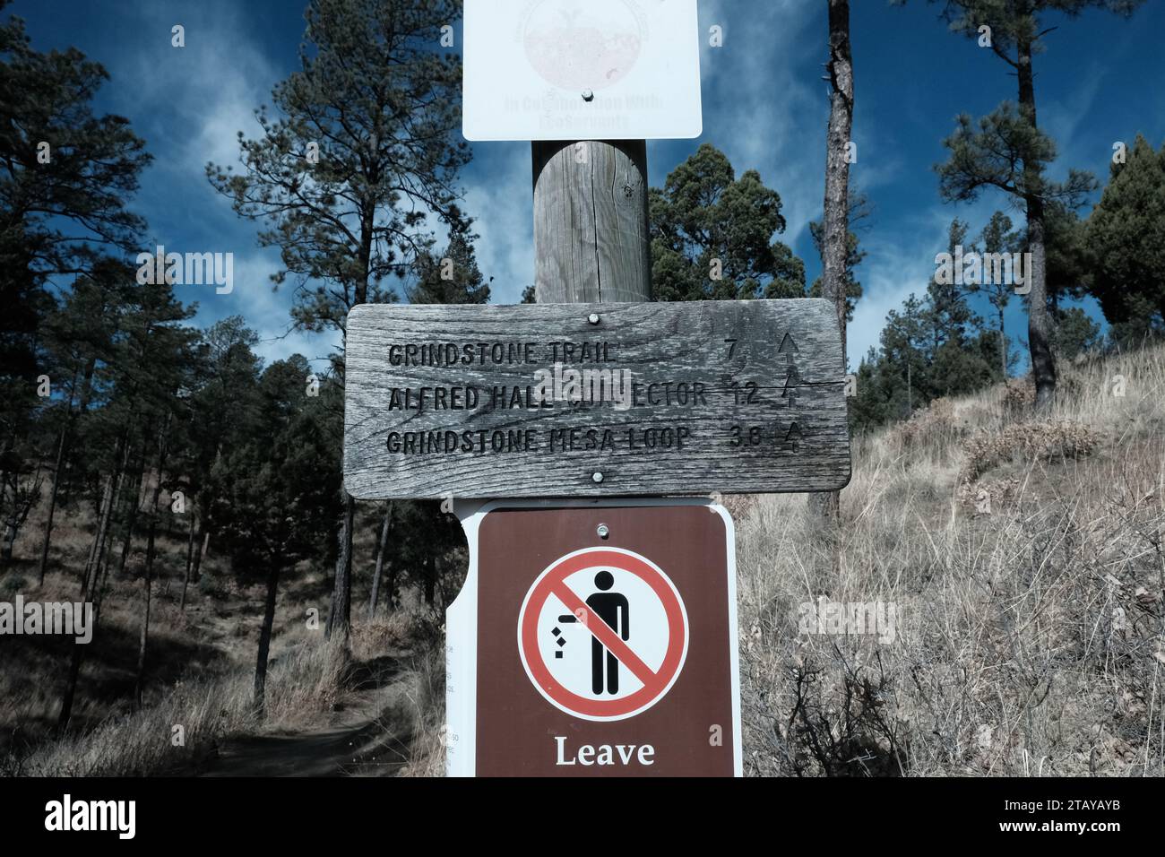 Backwoods adventure hi-res stock photography and images - Alamy