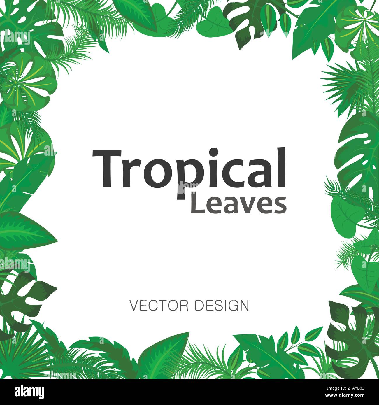 Summer background with green leaves of tropical plants. Jungle frame ...