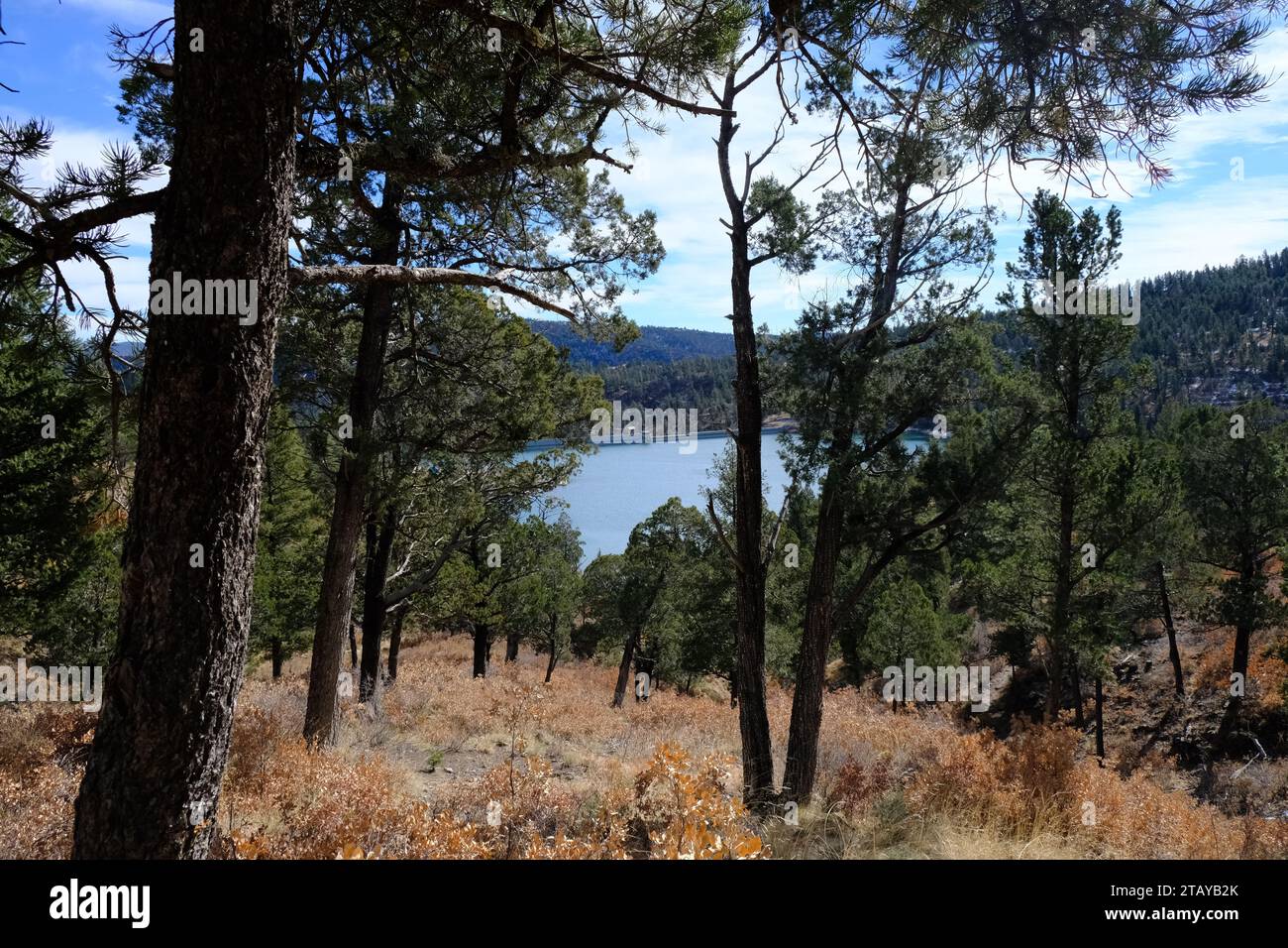 This is from a series of photos that I shot at the Grindstone Lake Loop ...