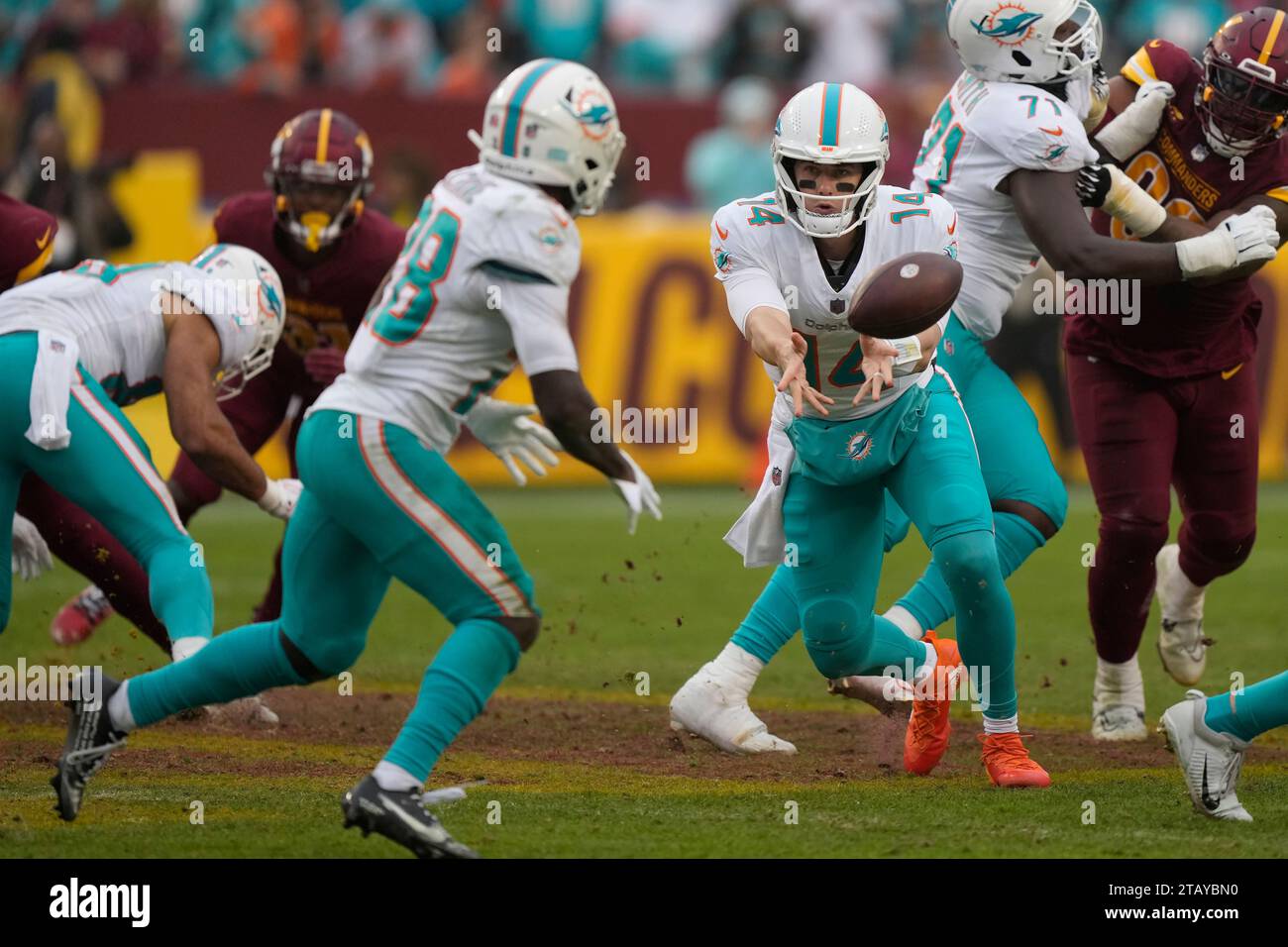 Miami Dolphins quarterback Mike White (14) pitches the ball to running ...