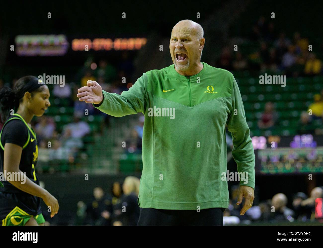 Ferrell Center Waco, Texas, USA. 3rd Dec, 2023. Oregon Ducks head coach ...