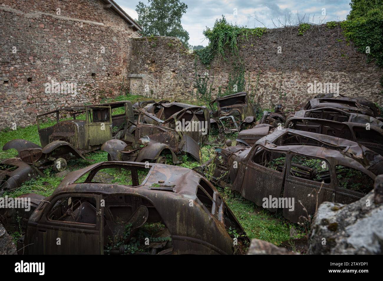 Cemetery of abandoned historic cars, old antiques are destroyed Stock ...