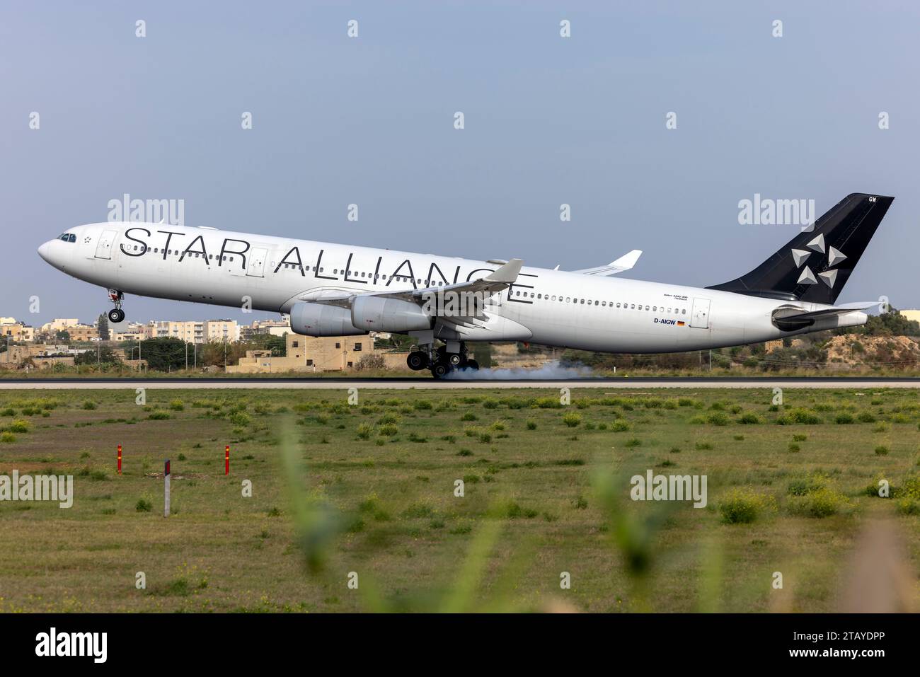 Star Alliance (Lufthansa) Airbus A340-313 (REG: D-AIGW) arriving in ...