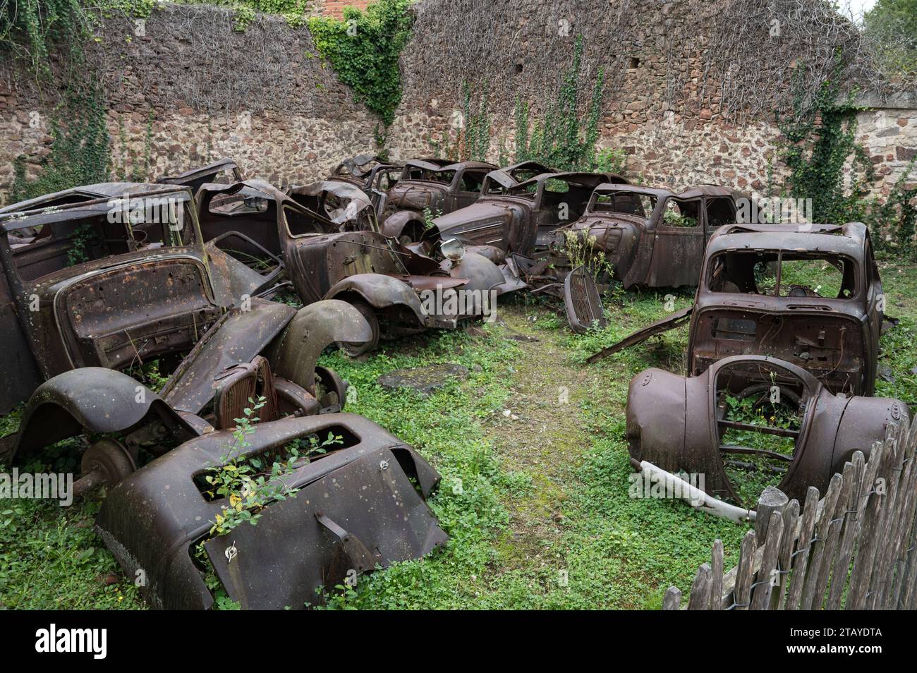Cemetery of abandoned historic cars, there is a Peugeot 402 among many ...