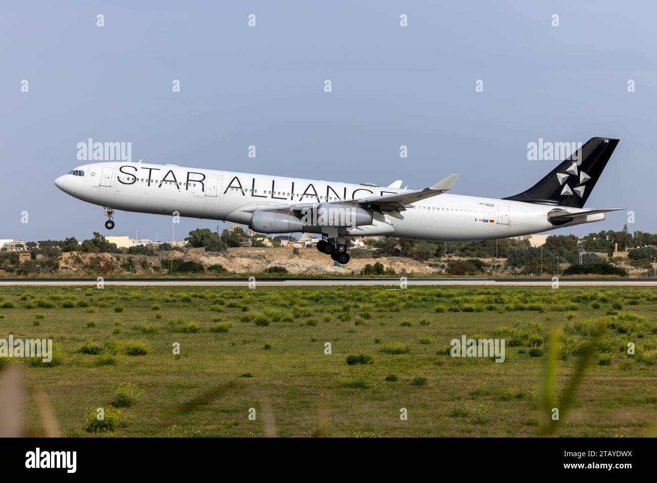 Star Alliance (Lufthansa) Airbus A340-313 (REG: D-AIGW) arriving in ...