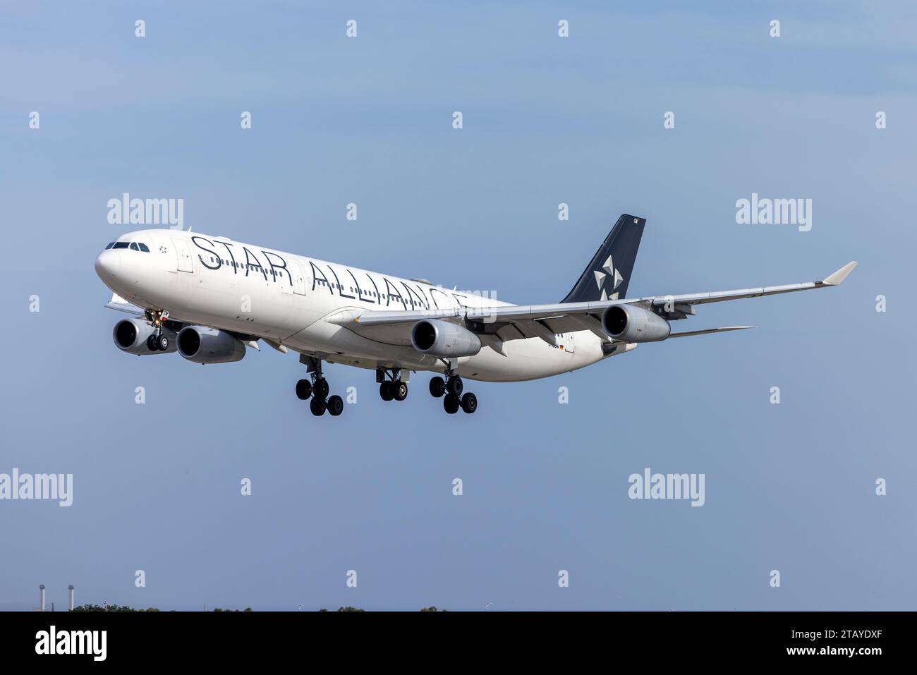 Star Alliance (Lufthansa) Airbus A340-313 (REG: D-AIGW) arriving in ...