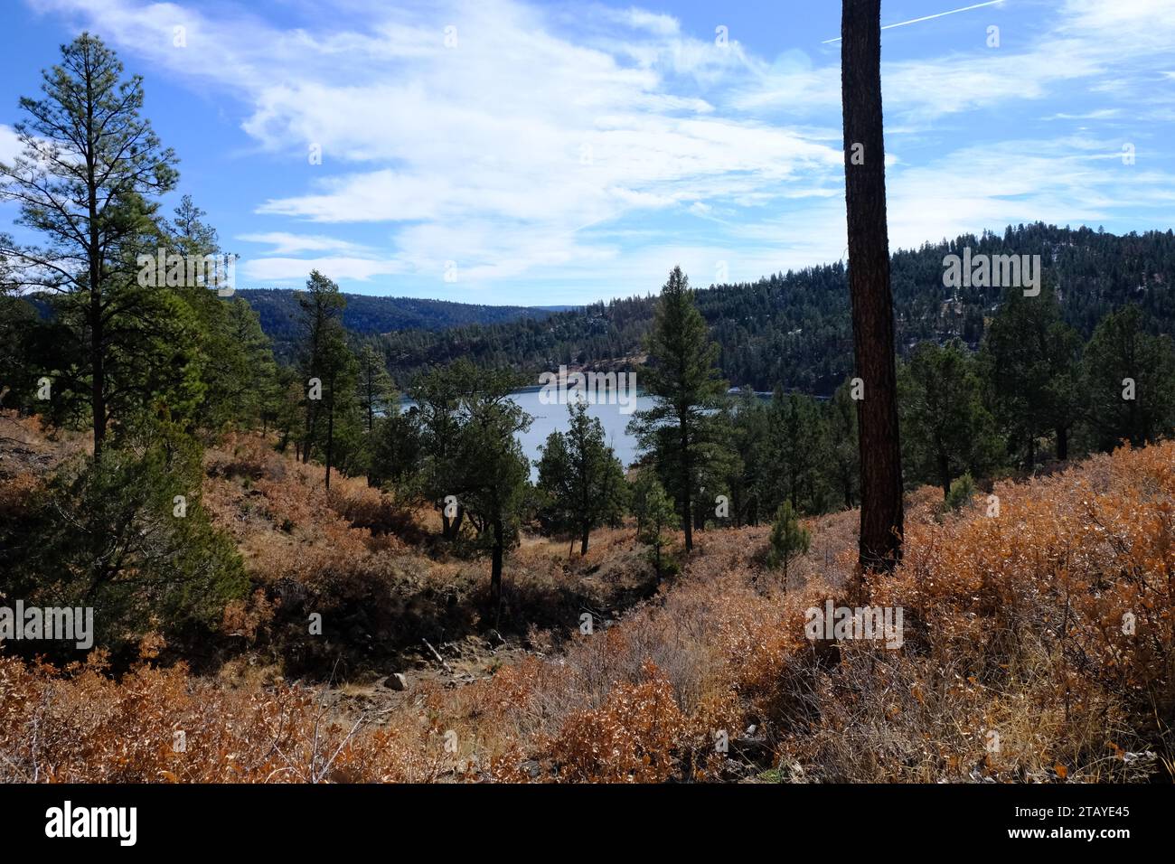 This is from a series of photos that I shot at the Grindstone Lake Loop ...
