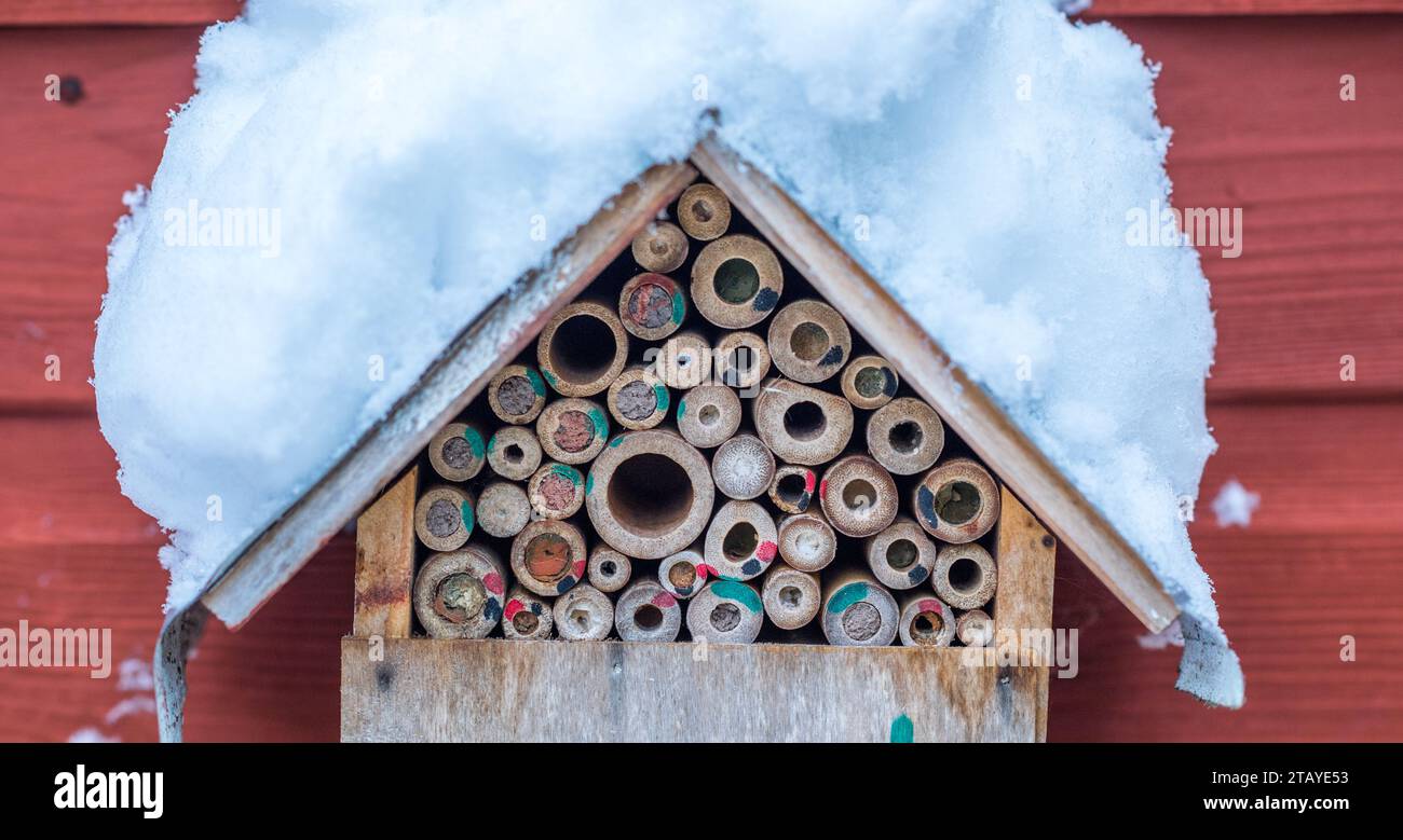 Bee hotel with sealed up nests of the Leaf cutter bee and the mason bee ...