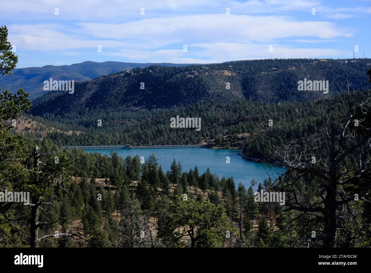 This is from a series of photos that I shot at the Grindstone Lake Loop ...