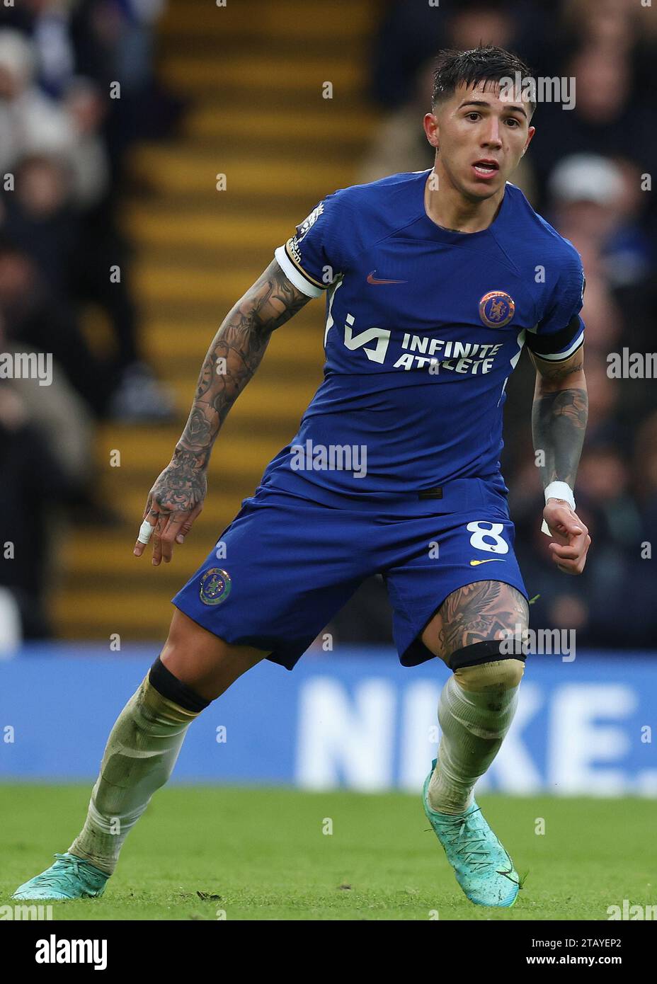 Enzo fernandez chelsea hi-res stock photography and images - Alamy