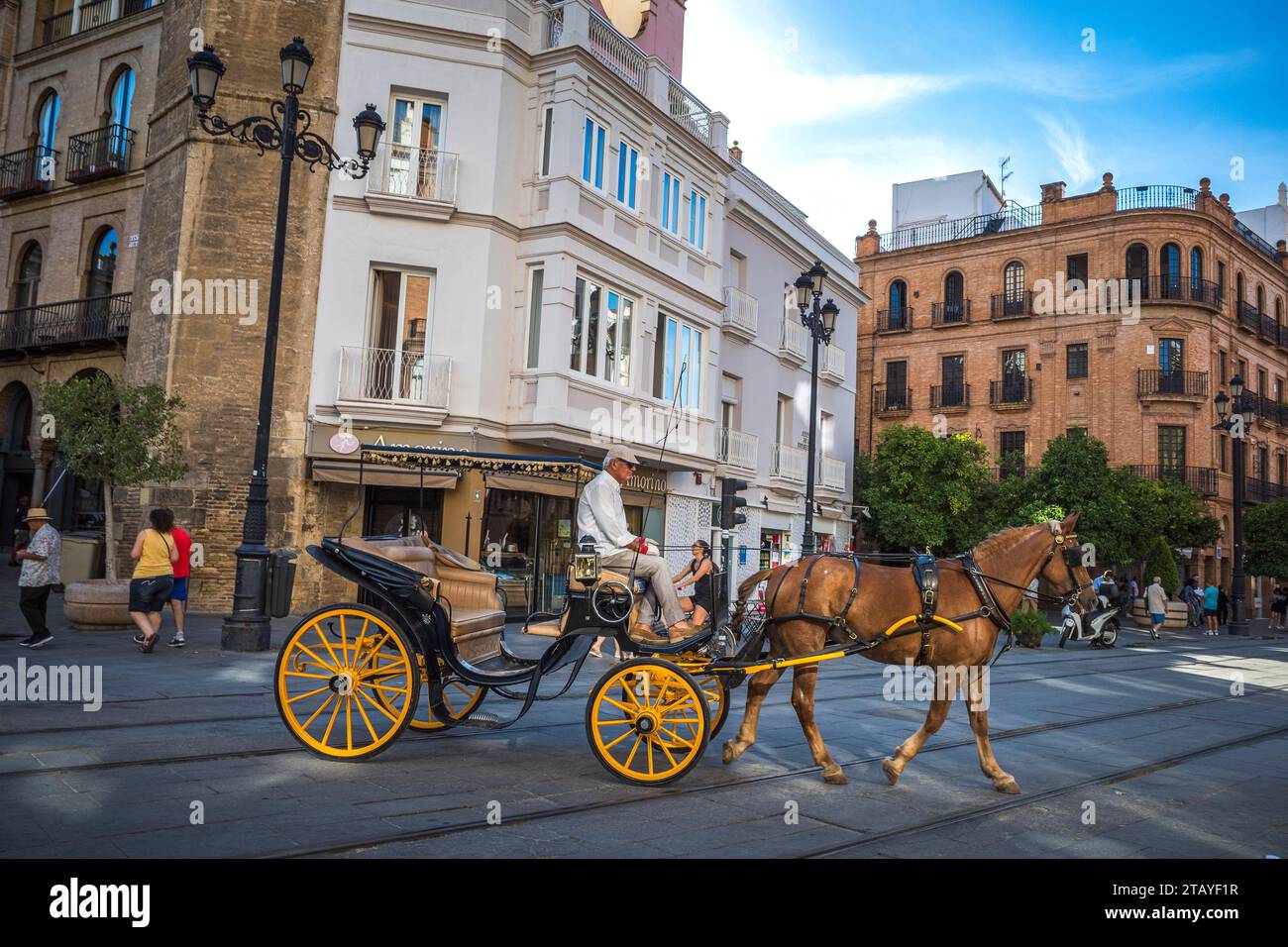 Tourist horse carriage in downtown Seville Spain Stock Photo - Alamy