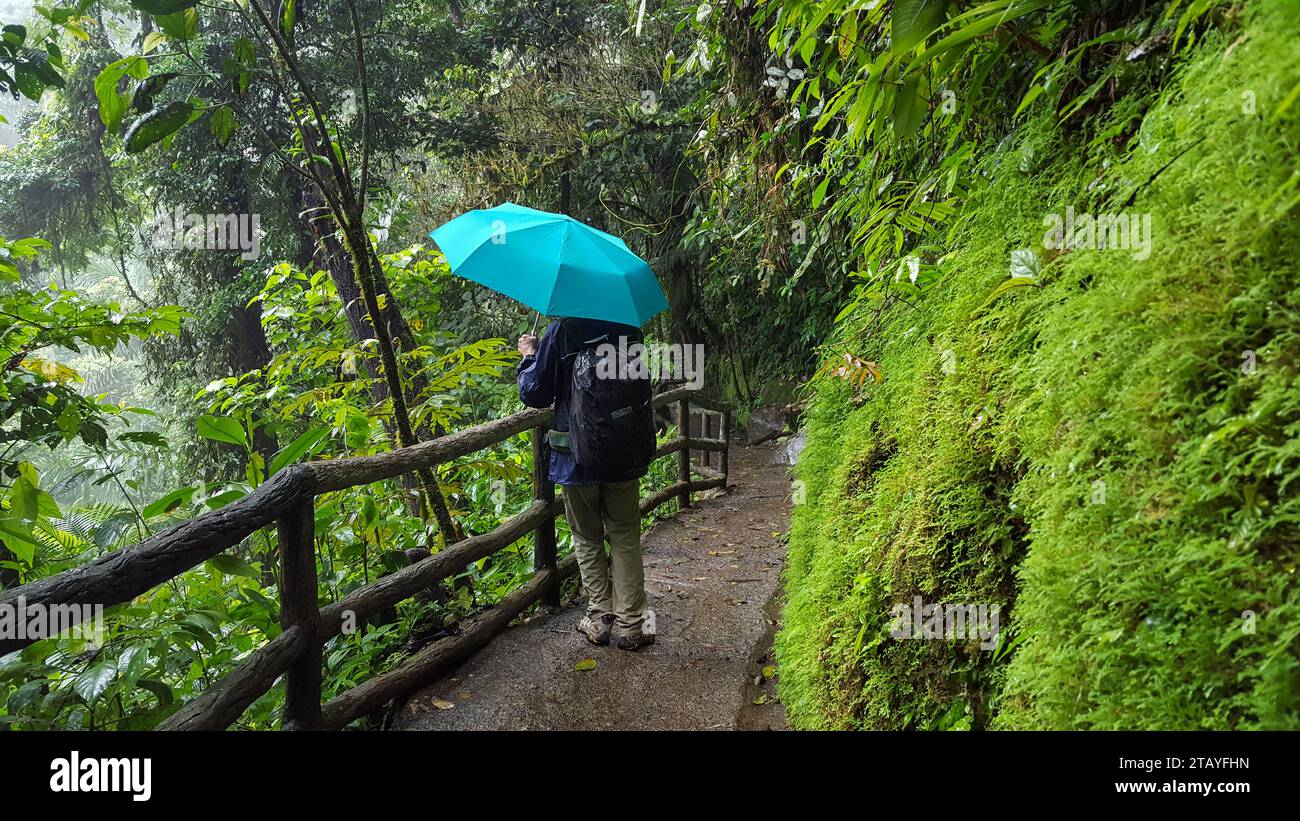 Costa Rica tourists on a trip on a path in Rainforest Stock Photo - Alamy