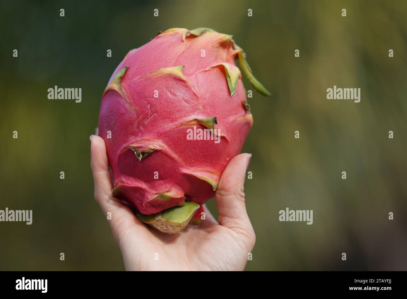 Nutrient rich fruit hi-res stock photography and images - Alamy