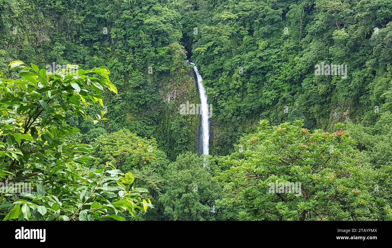 Beautiful tropical rainforest waterfall hi-res stock photography and ...