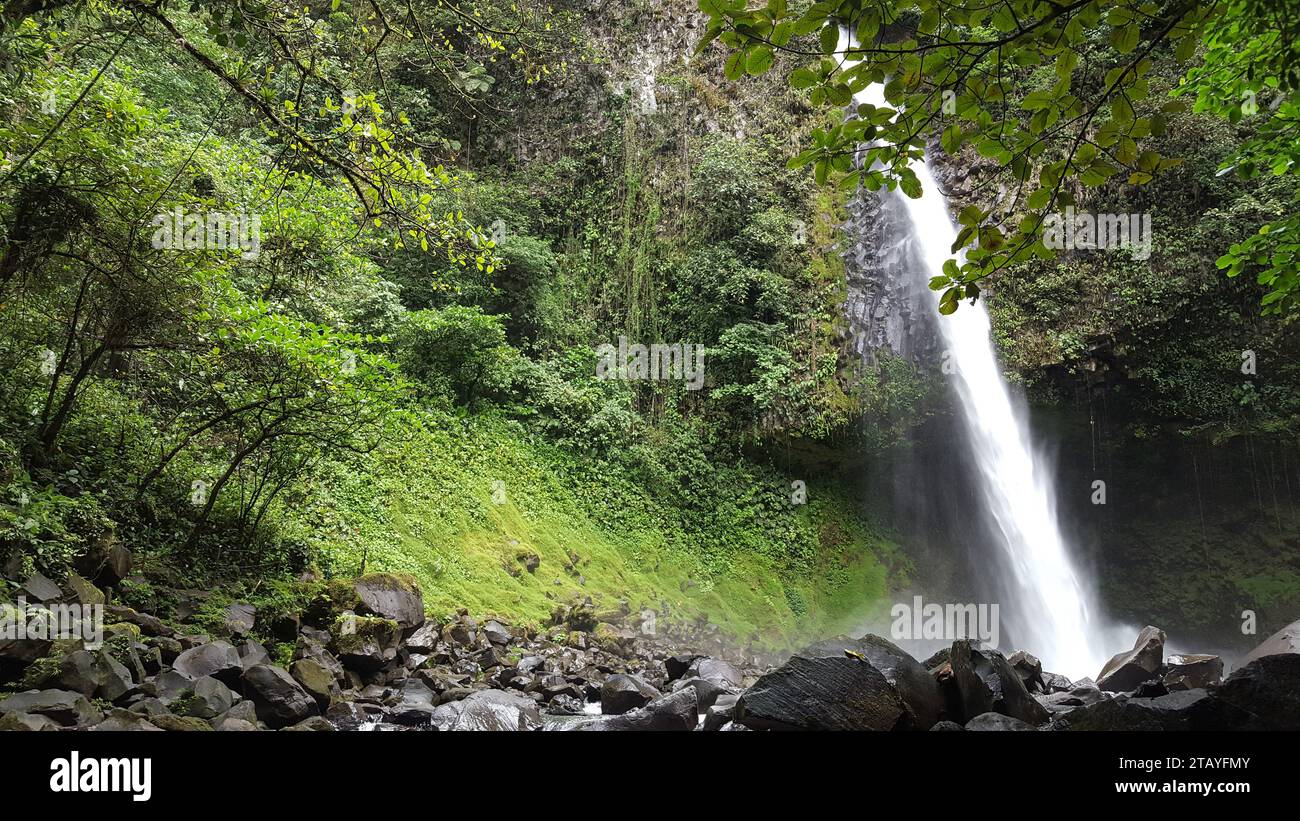 Beautiful tropical rainforest waterfall hi-res stock photography and ...
