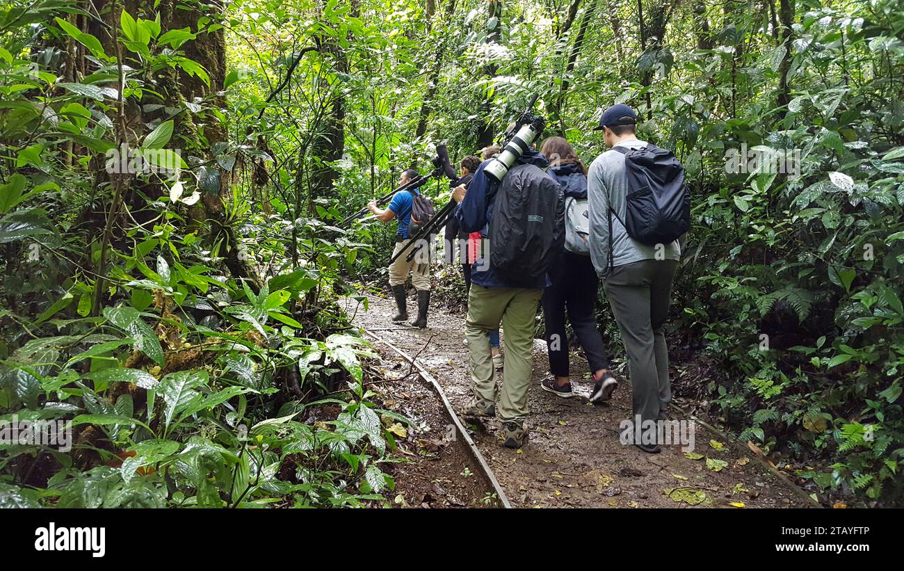 Tropical rainforest fauna hi-res stock photography and images - Alamy