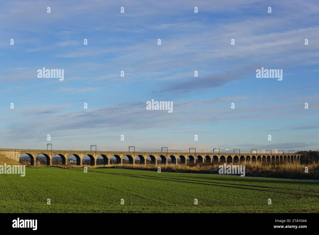 Almond viaduct hi-res stock photography and images - Alamy