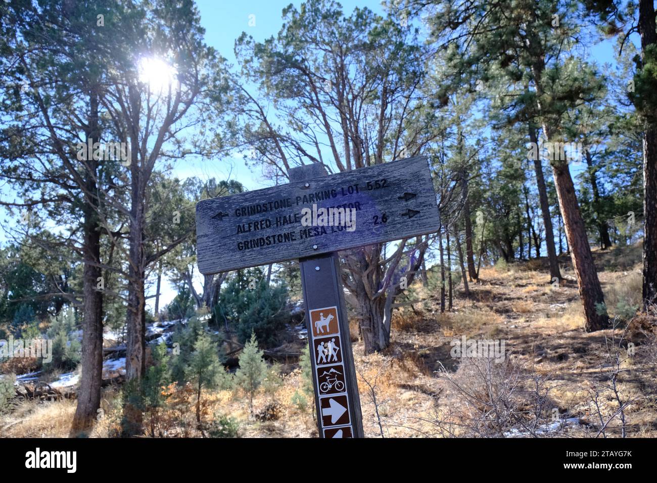 This is from a series of photos that I shot at the Grindstone Lake Loop ...