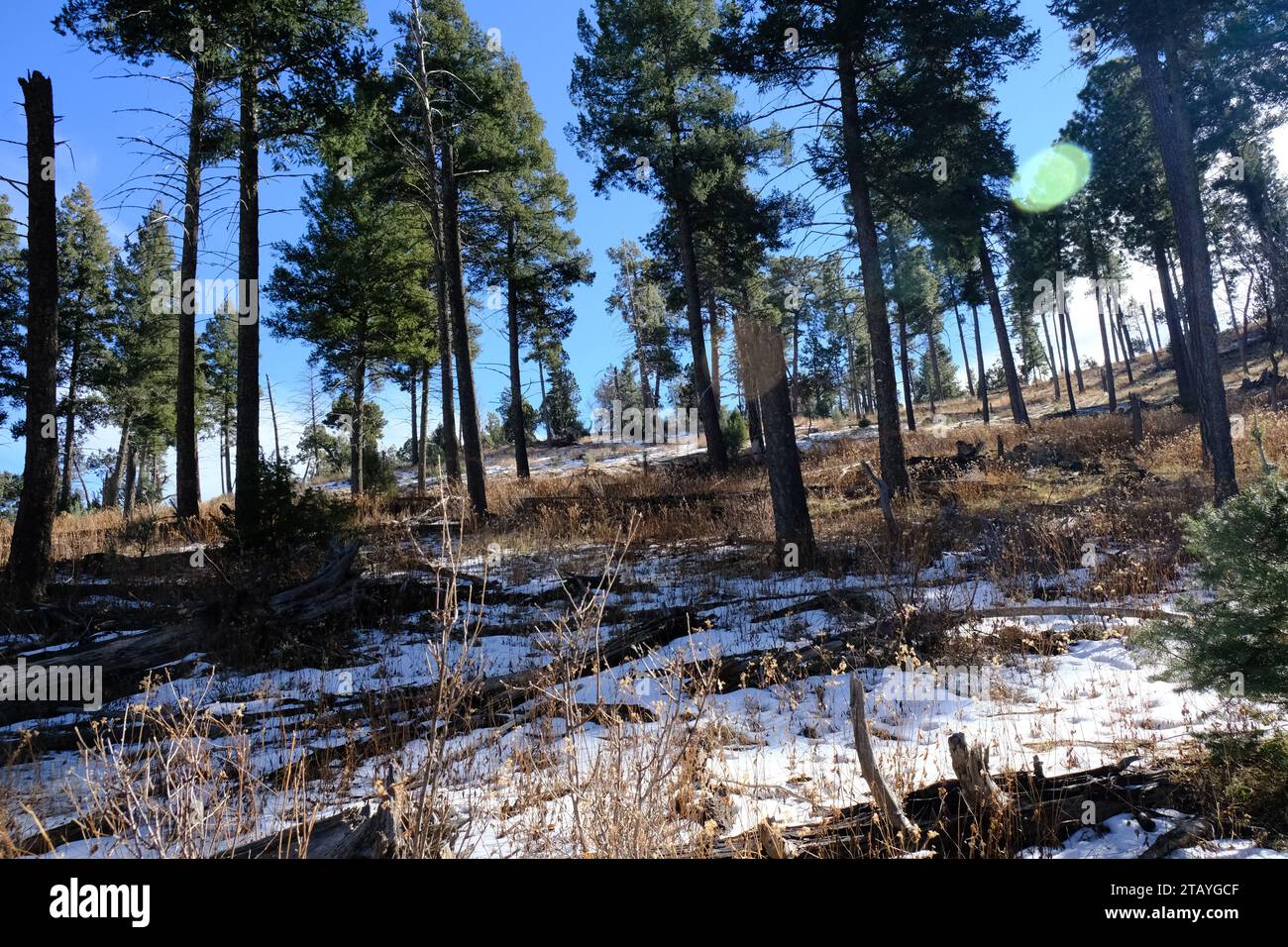 This is from a series of photos that I shot at the Grindstone Lake Loop ...