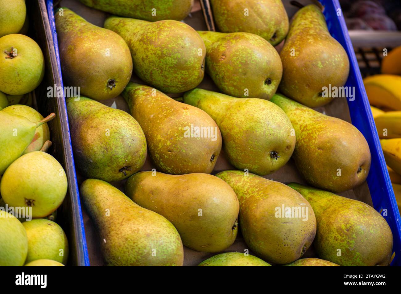 Enjoining diversity of fresh fruits on Atarazanas Central Market in ...