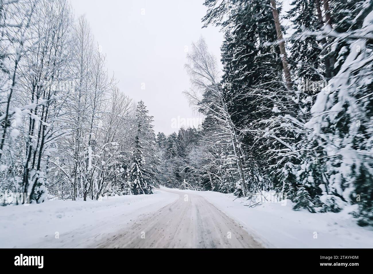 View of snowy country road. Driving on winter forest road after ...