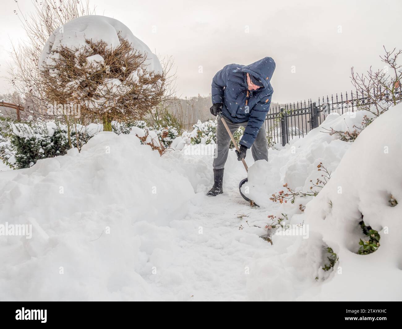 Man clearing path of snow with shovel after heavy snowfall Stock Photo ...