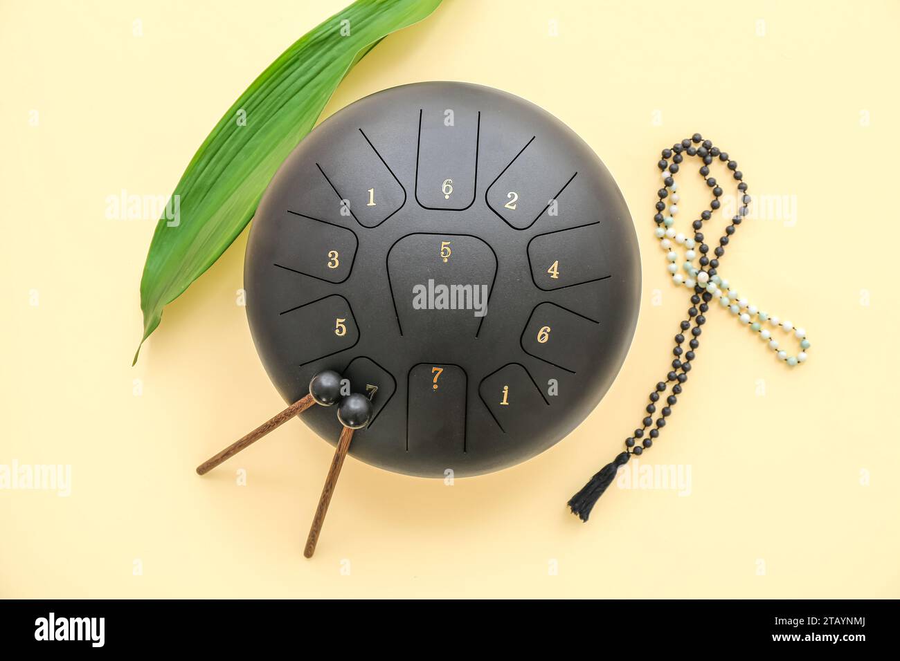 Glucophone with sticks, plant leaf and beads on beige background Stock ...