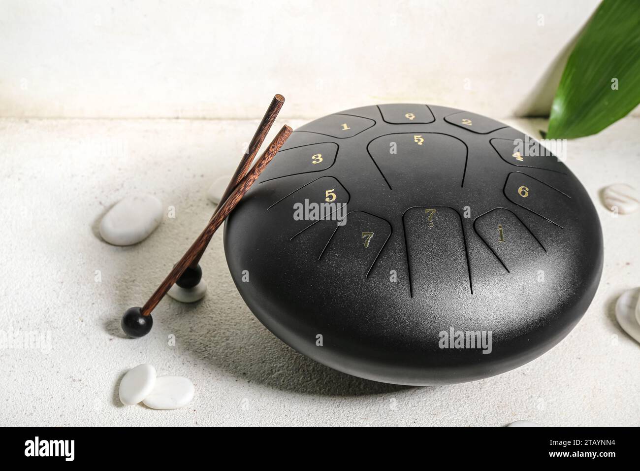 Glucophone with sticks, spa stones and palm leaf on grunge white ...