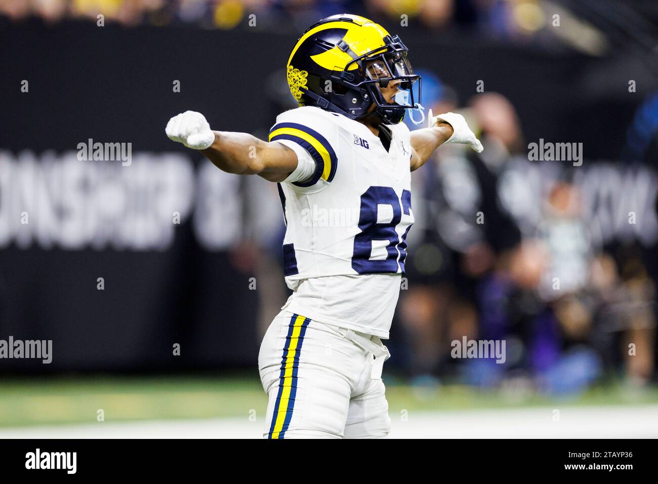 Indianapolis, Indiana, USA. 02nd Dec, 2023. Michigan wide receiver ...