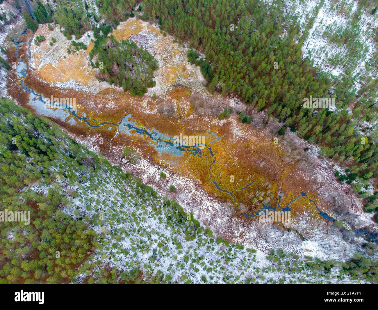 Aerial view of the bends and loops of the ''Isruginis'' river in ...