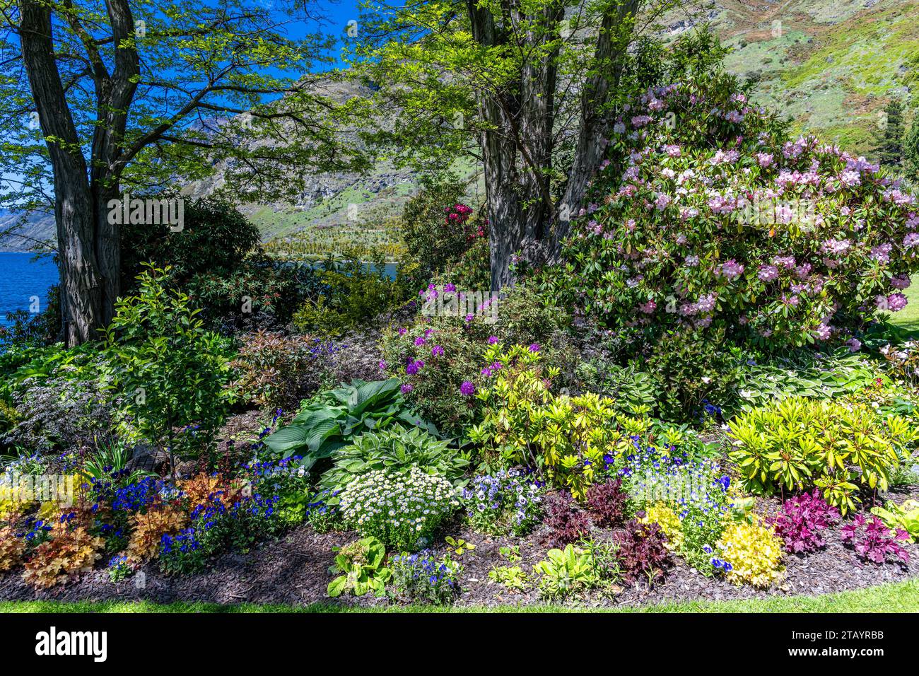 Beautiful colors in the flower garden at Walter Peak High Country Farm ...