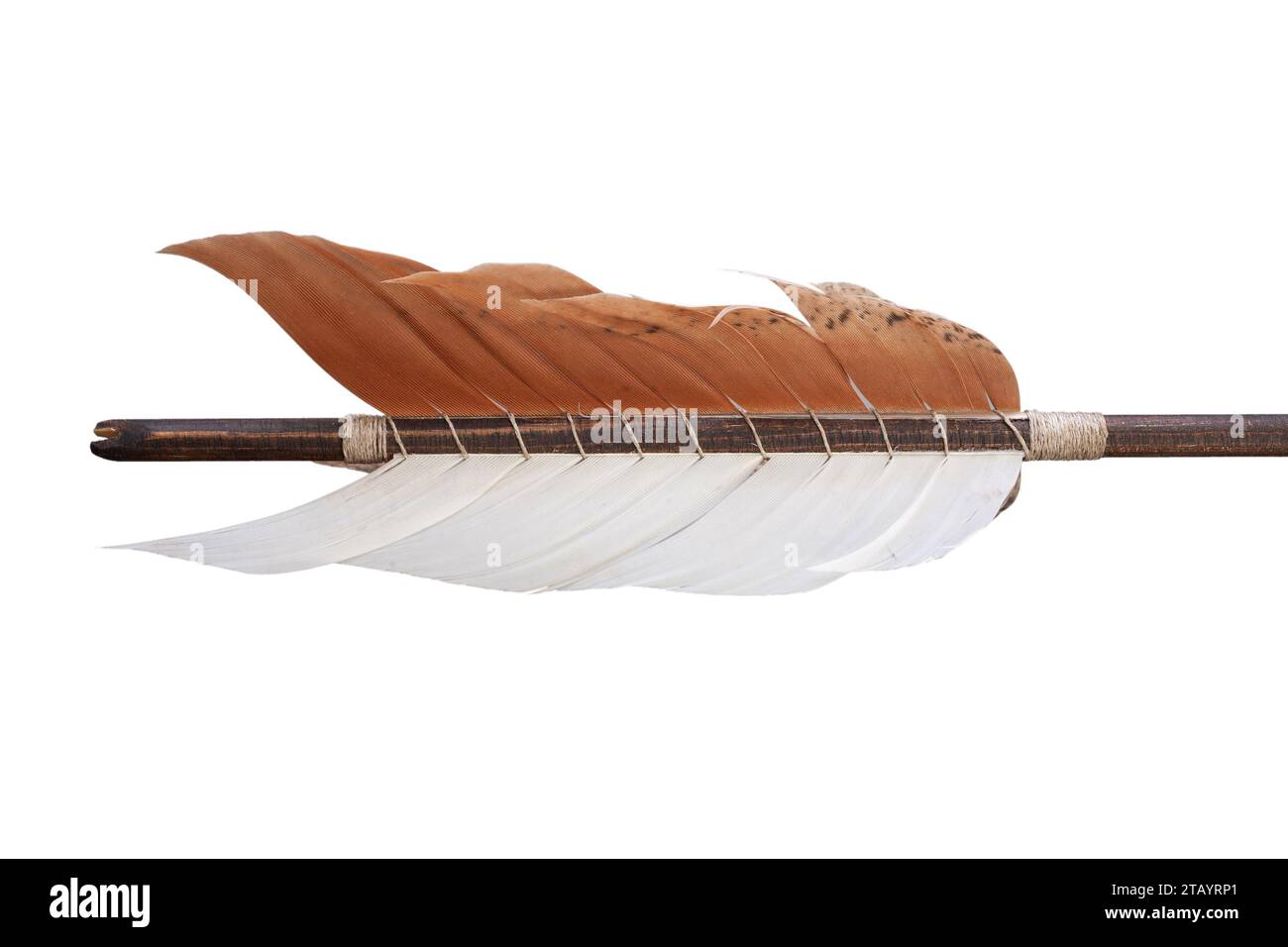 Feather fletching of traditional target arrow American Indians ...