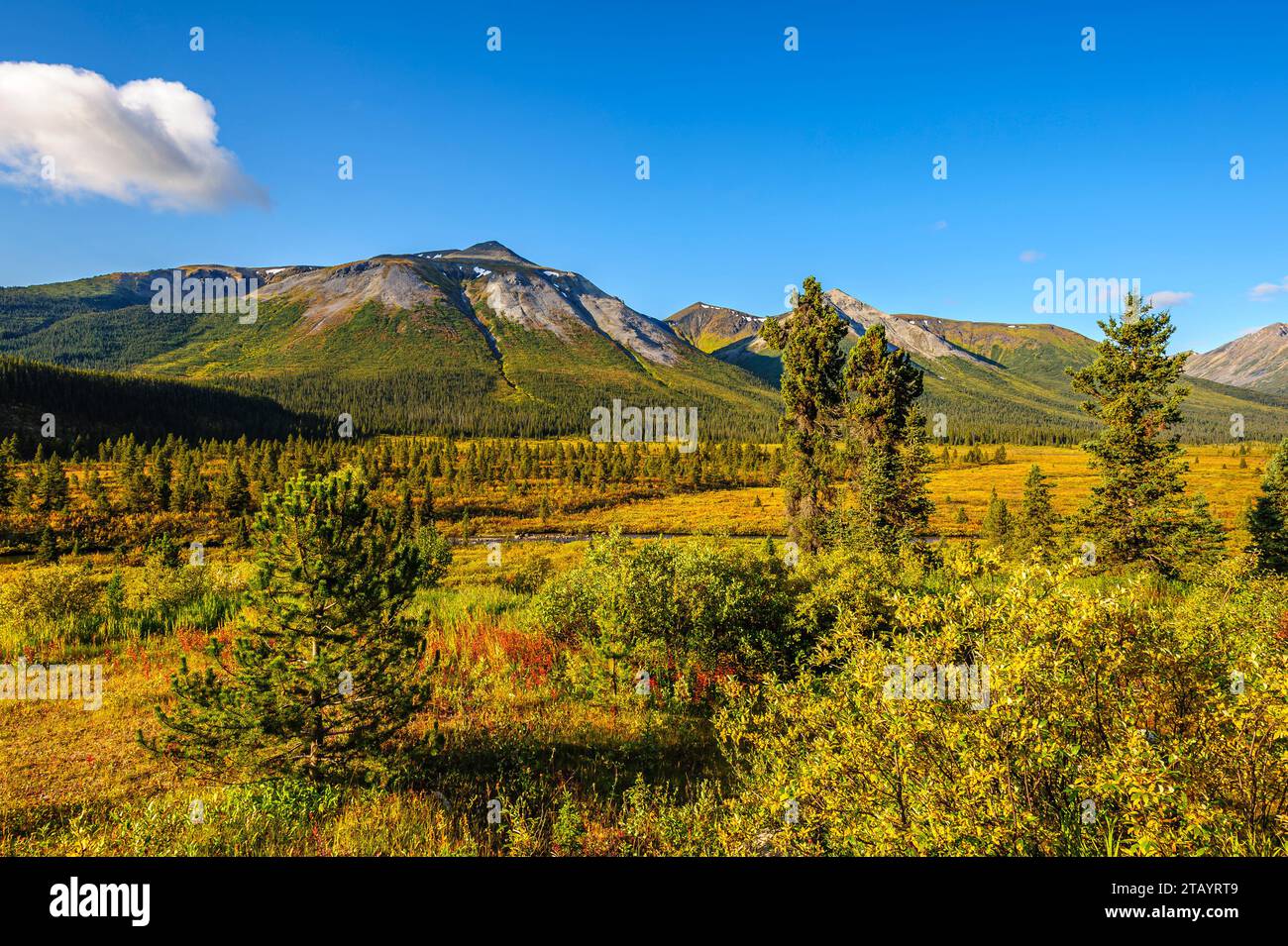 Limestone Peak and the Marble Creek valley in the Cassiar Mountains of ...