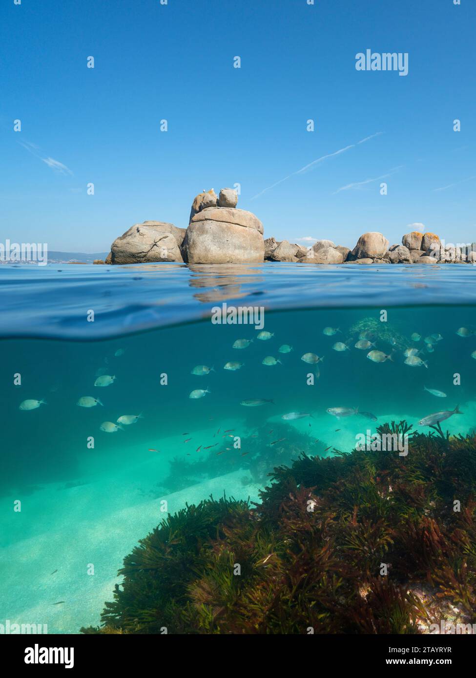 Seascape, boulders with blue sky and fish underwater (seabreams ...