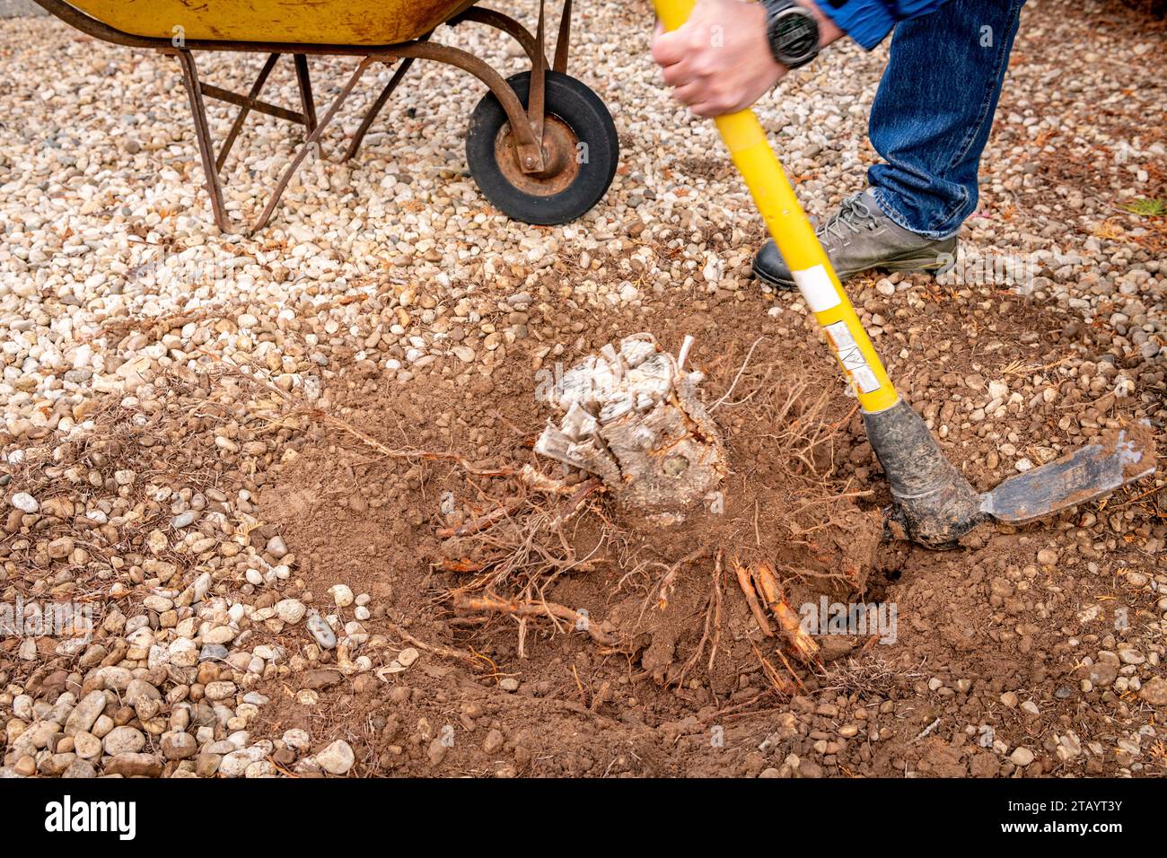 Worker uses hi-res stock photography and images - Alamy