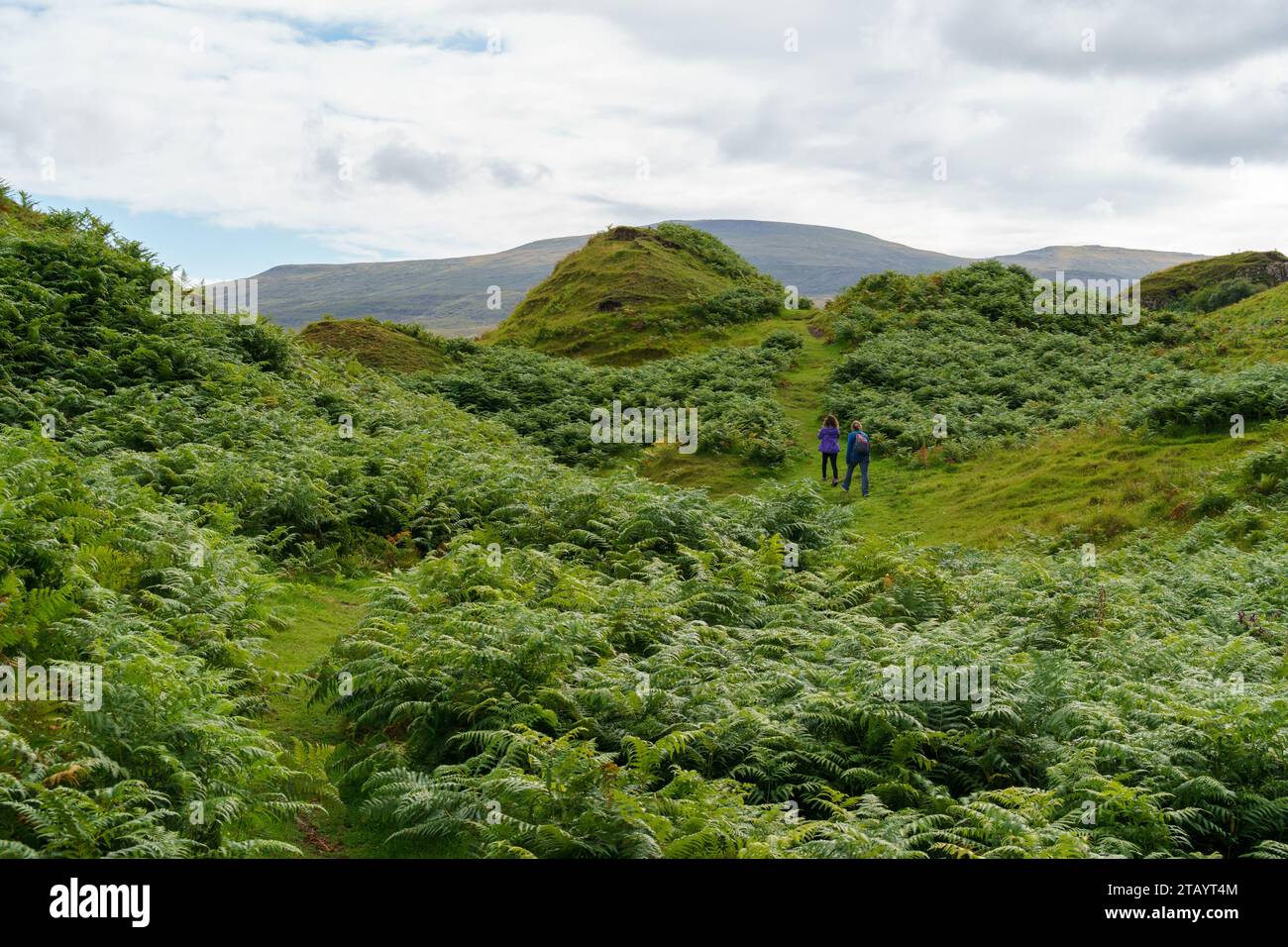 Fairy mound hi-res stock photography and images - Alamy