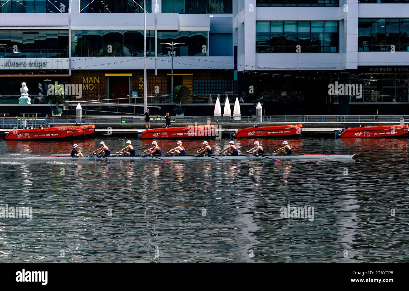Rowers Captured Rowing On The Yarra River Stock Photo - Alamy