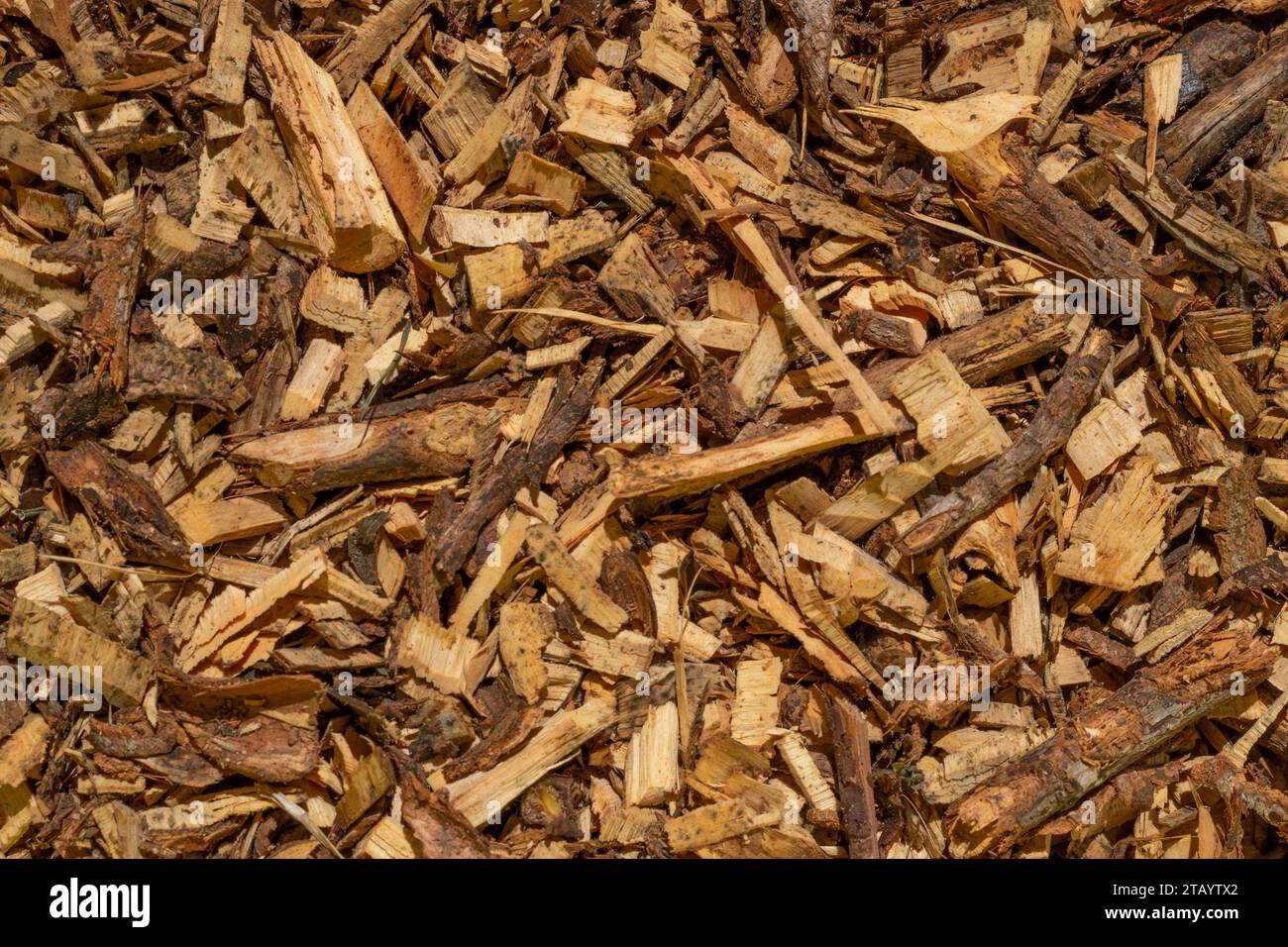 Pruning waste chips. Shredded pruning residues. Ecological fertilizer ...