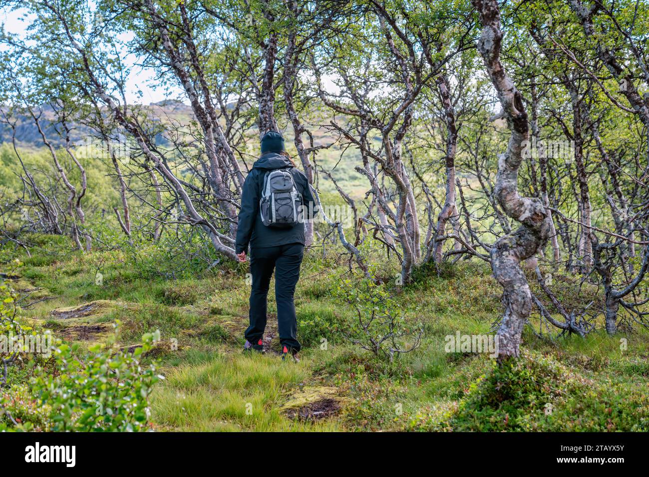 Woman in modern high-tech breathable and waterproof clothing hiking in ...