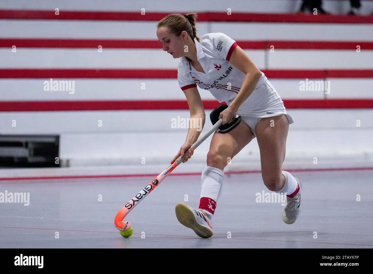 Primus valor arena hi-res stock photography and images - Alamy